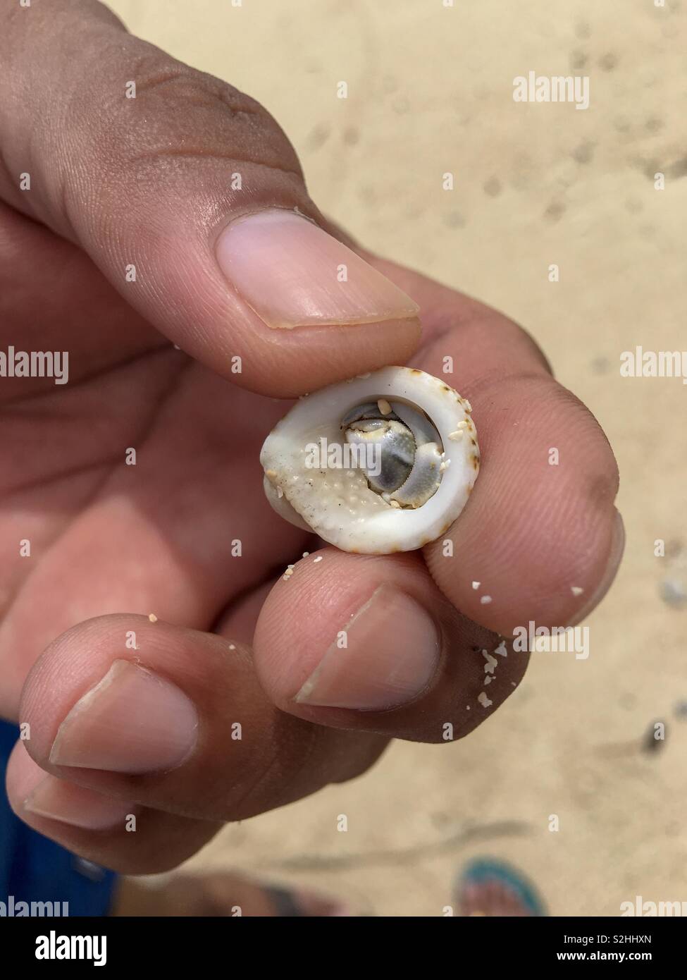 Beach Finds High Resolution Stock Photography and Images - Alamy