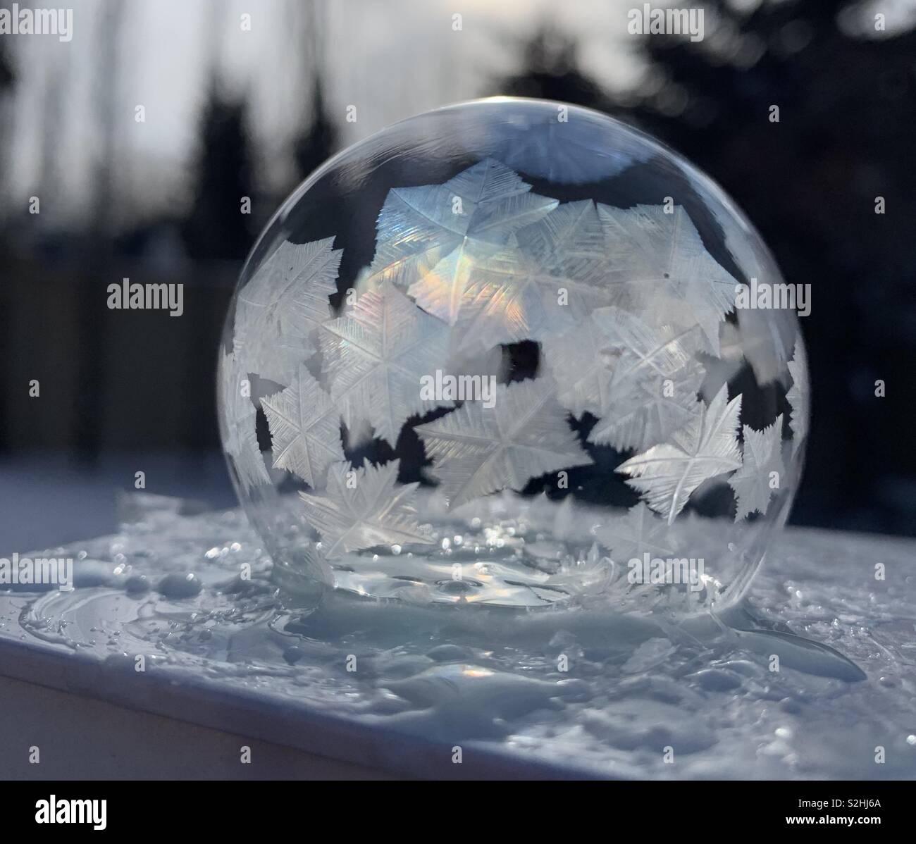 Ice bubble hi-res stock photography and images - Alamy