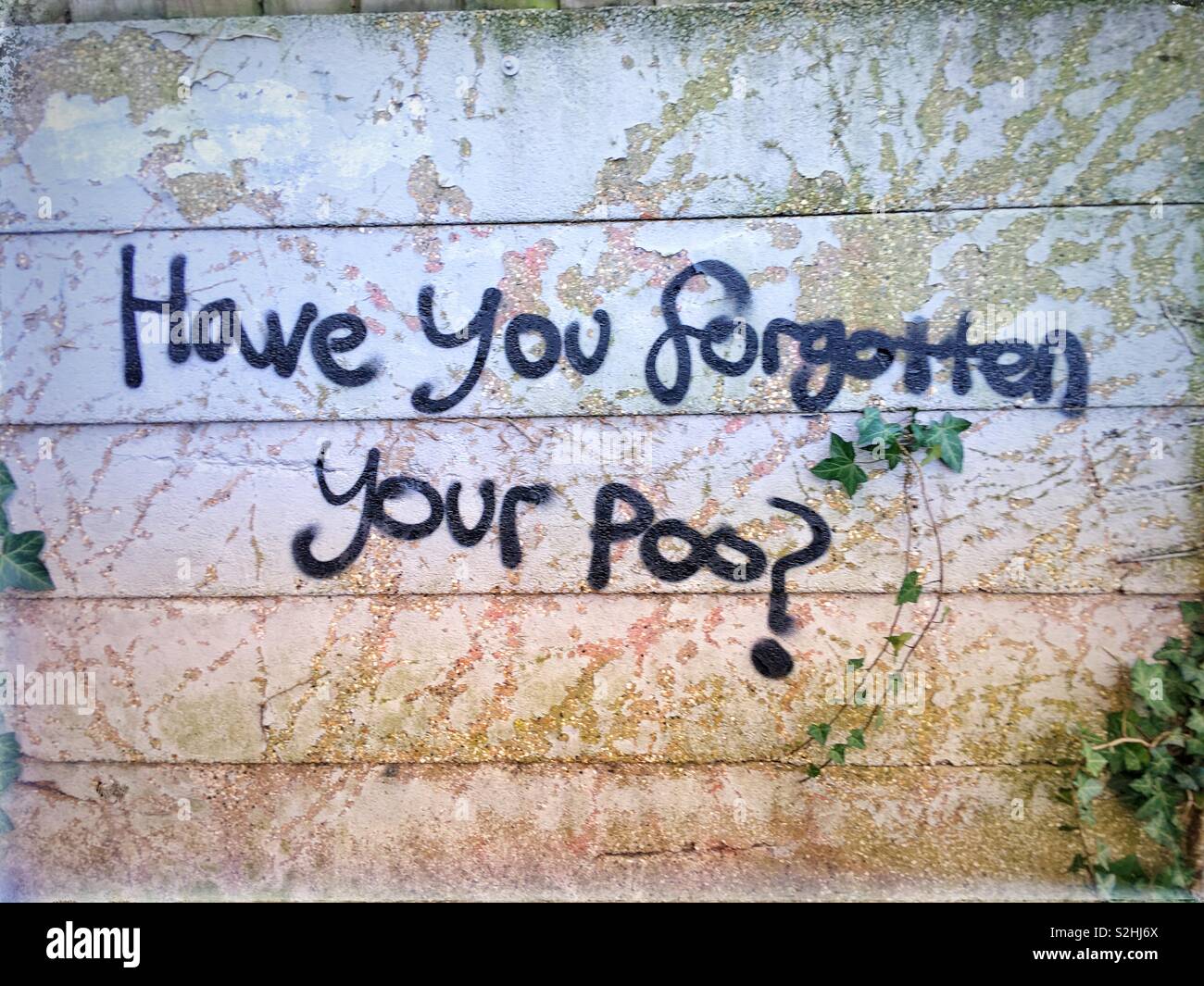 Graffiti about dog poo on alley wall Stock Photo - Alamy