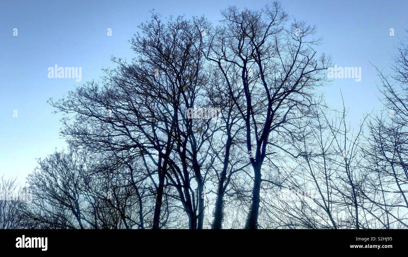 Twilight skies hi-res stock photography and images - Alamy