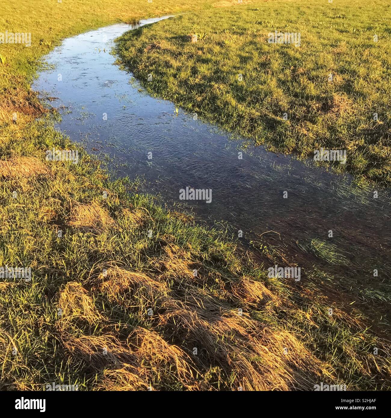 Flood plain channel in flow across grass field during after heavy ...