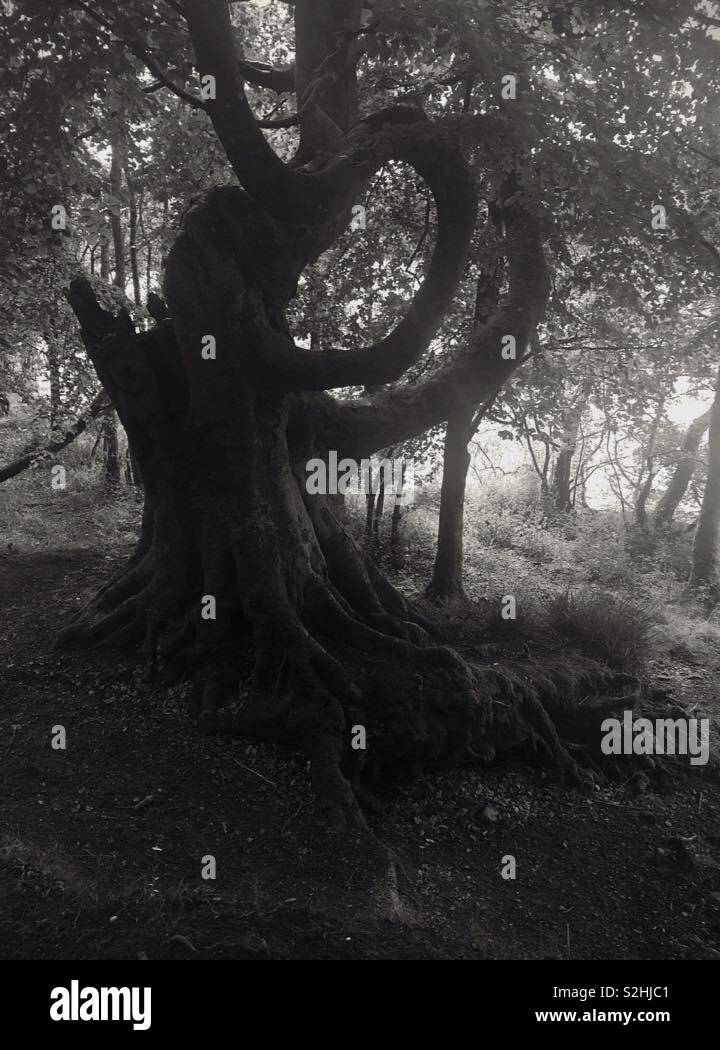 Haunting shadows hi-res stock photography and images - Alamy