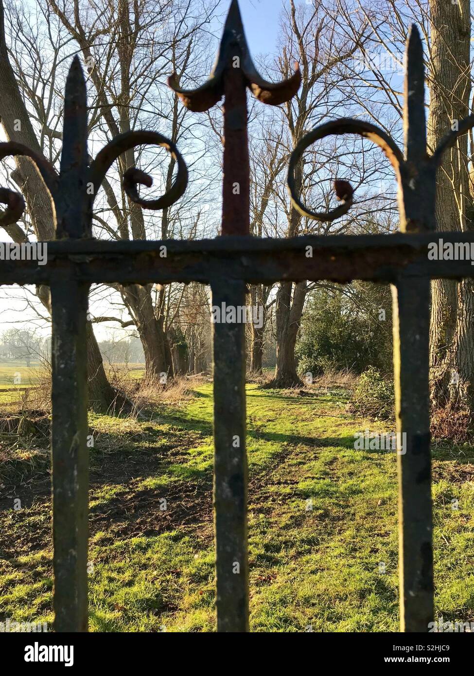 Cast iron railings in an historic parkland Stock Photo - Alamy