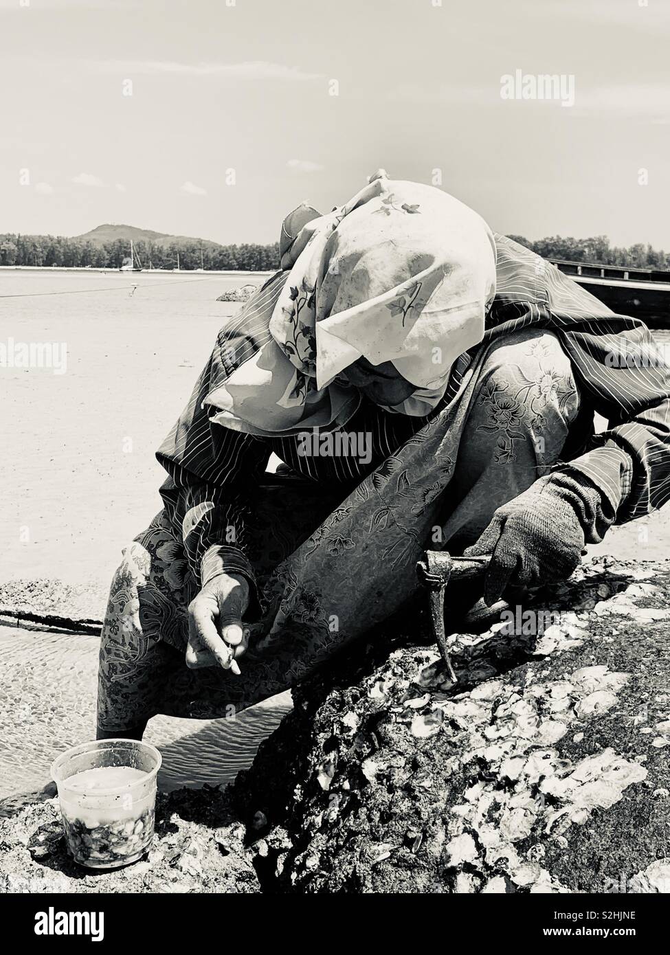 Thailand lady shell fishing Stock Photo - Alamy