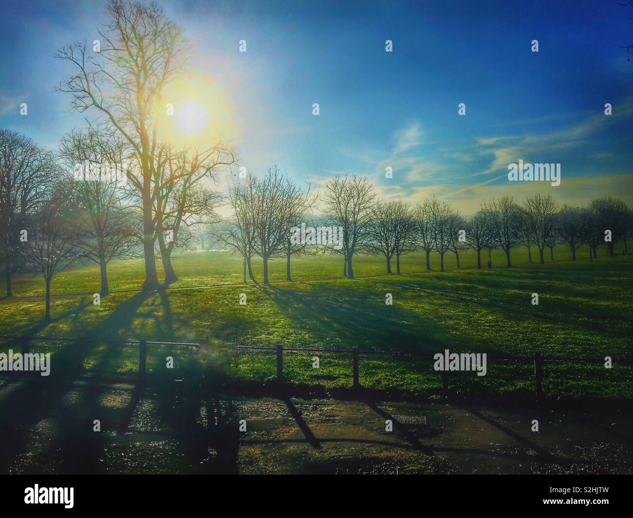 Sunrise and shadows over Peckham Rye common Stock Photo - Alamy