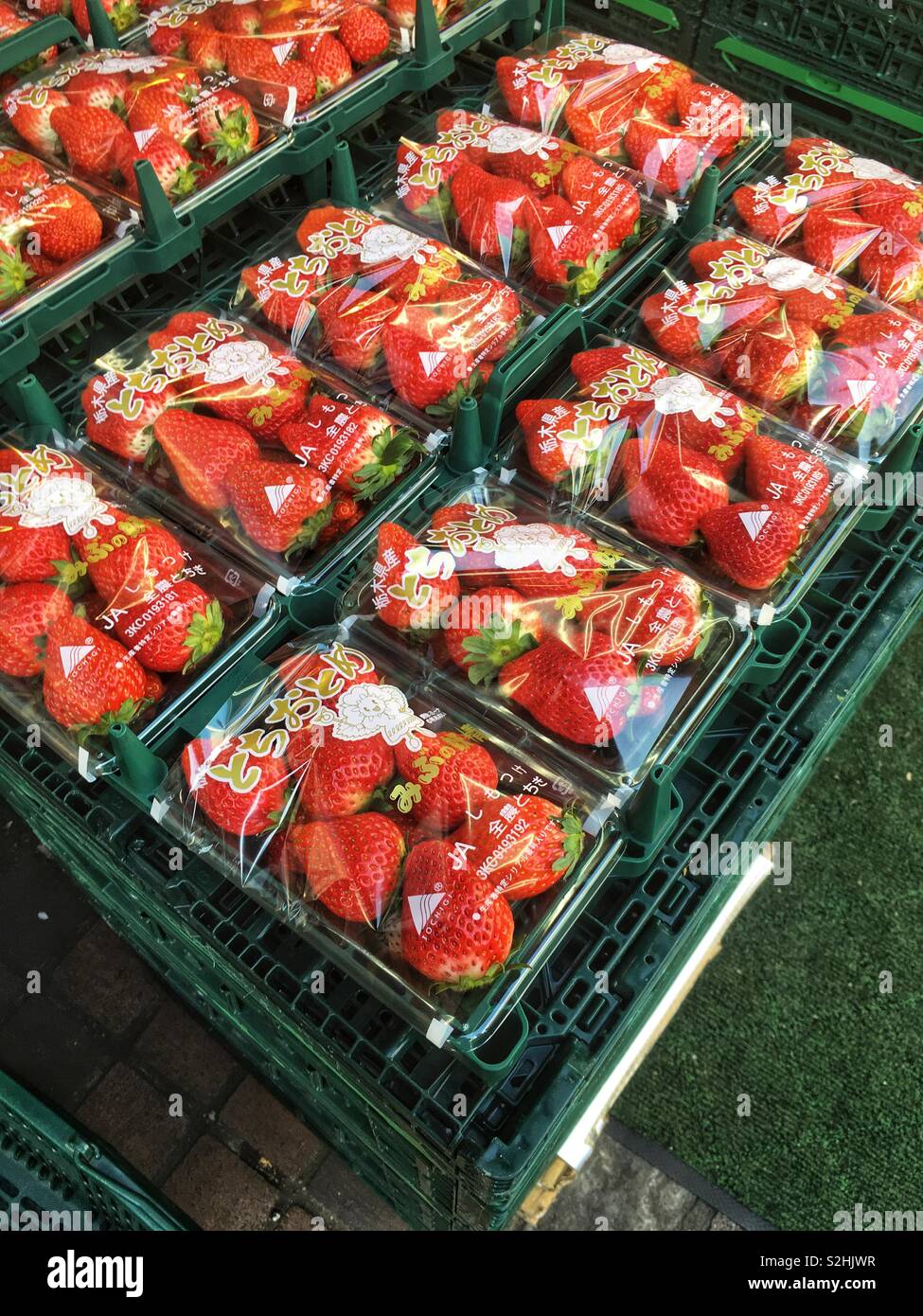 Strawberries on display Stock Photo - Alamy