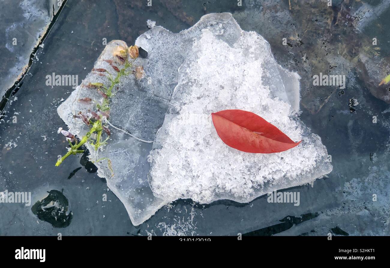 Frozen island hi-res stock photography and images - Alamy