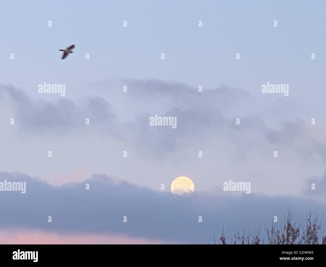 Moon setting hi-res stock photography and images - Alamy