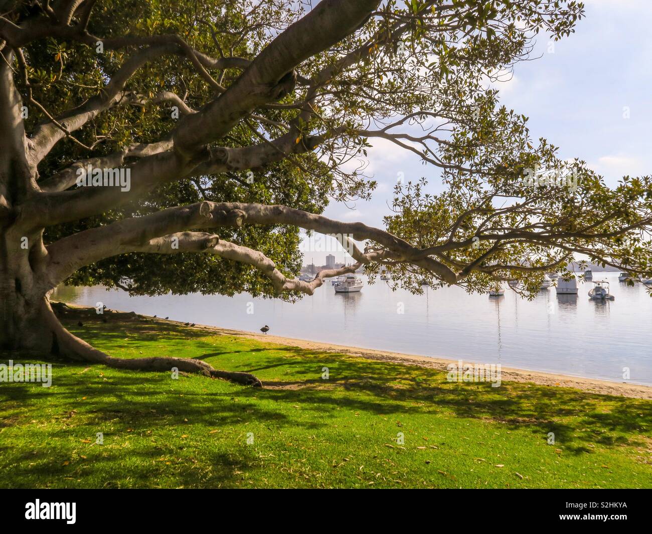 Summer perth hi-res stock photography and images - Alamy