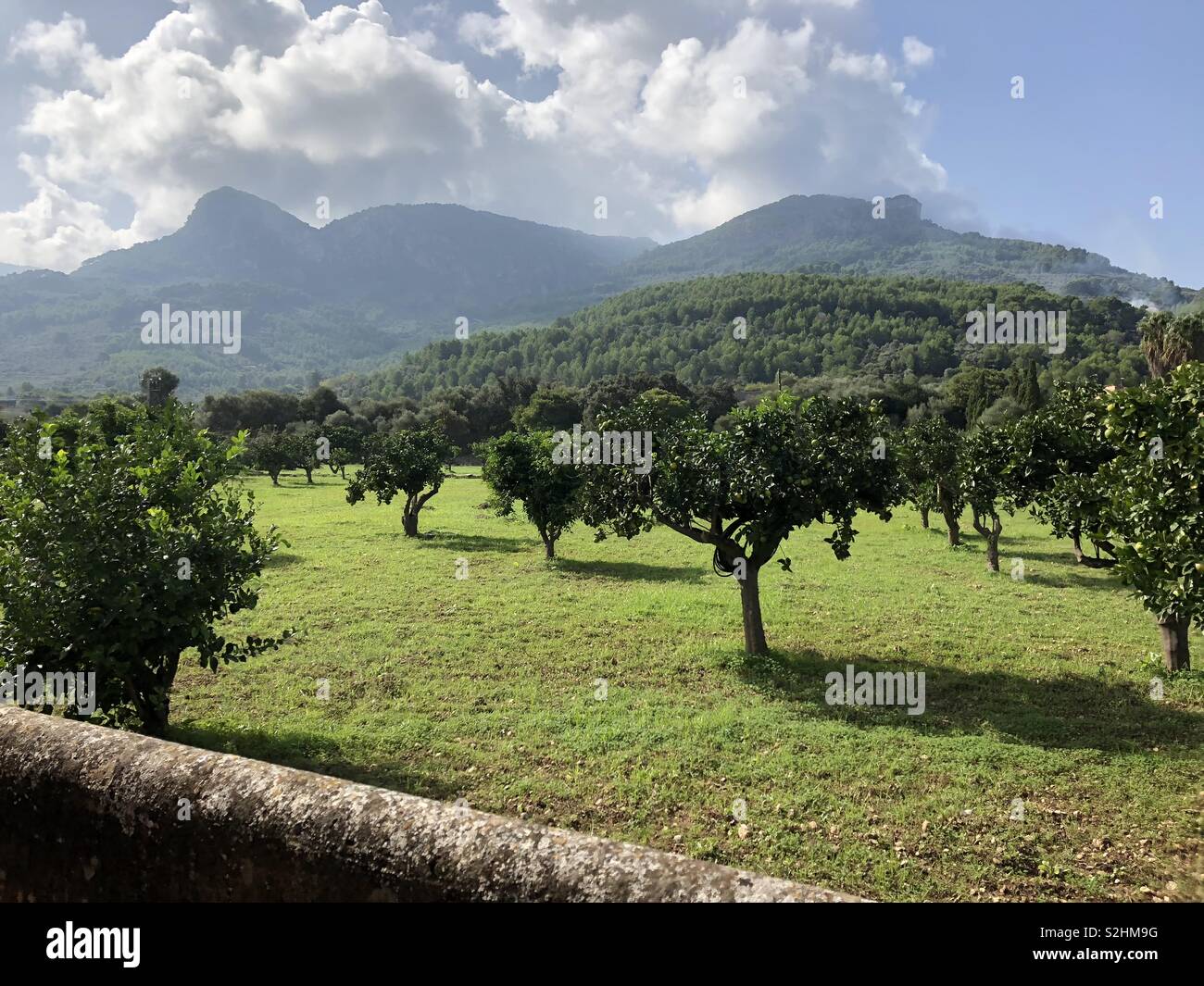 Mallorca landscape hi-res stock photography and images - Alamy