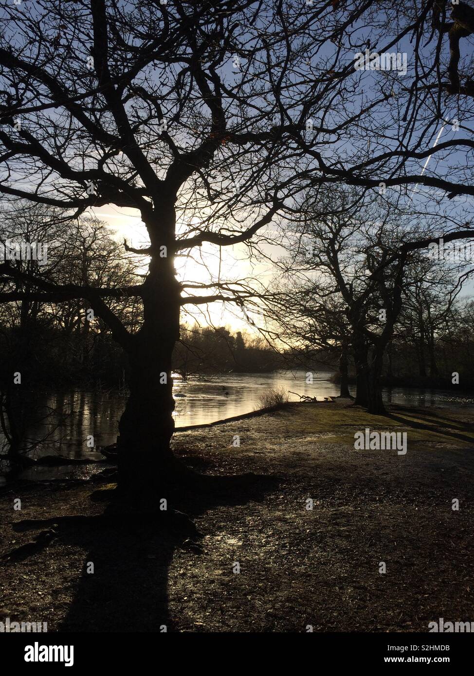 Late afternoon over lake Stock Photo - Alamy
