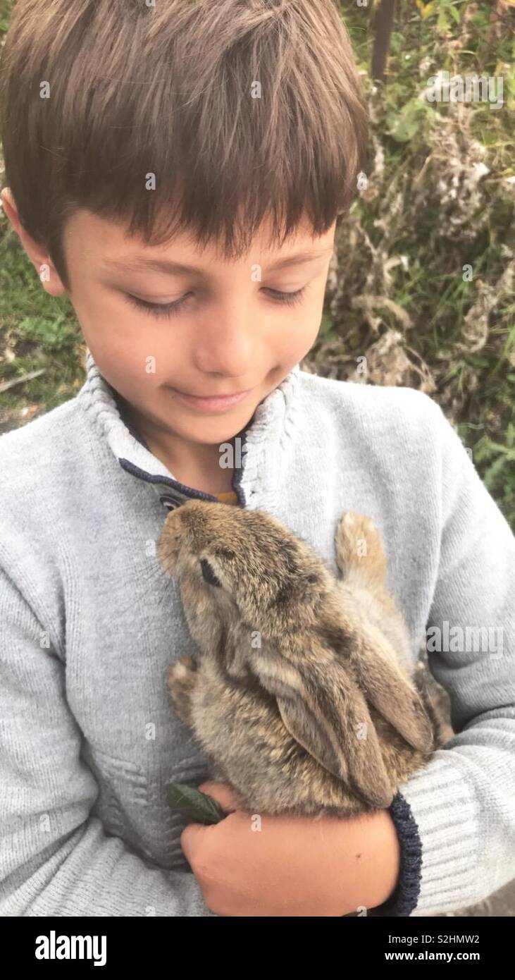 A young boy with light brown hair holds onto a young rabbit Stock Photo ...