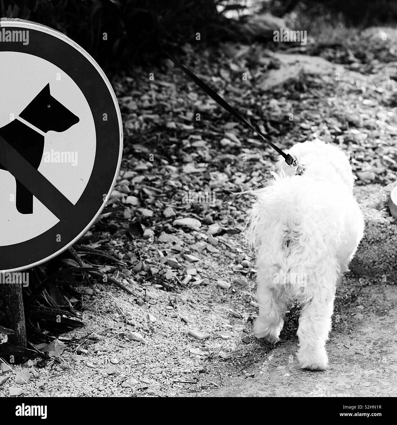 Forbidden Black and White Stock Photos & Images - Alamy