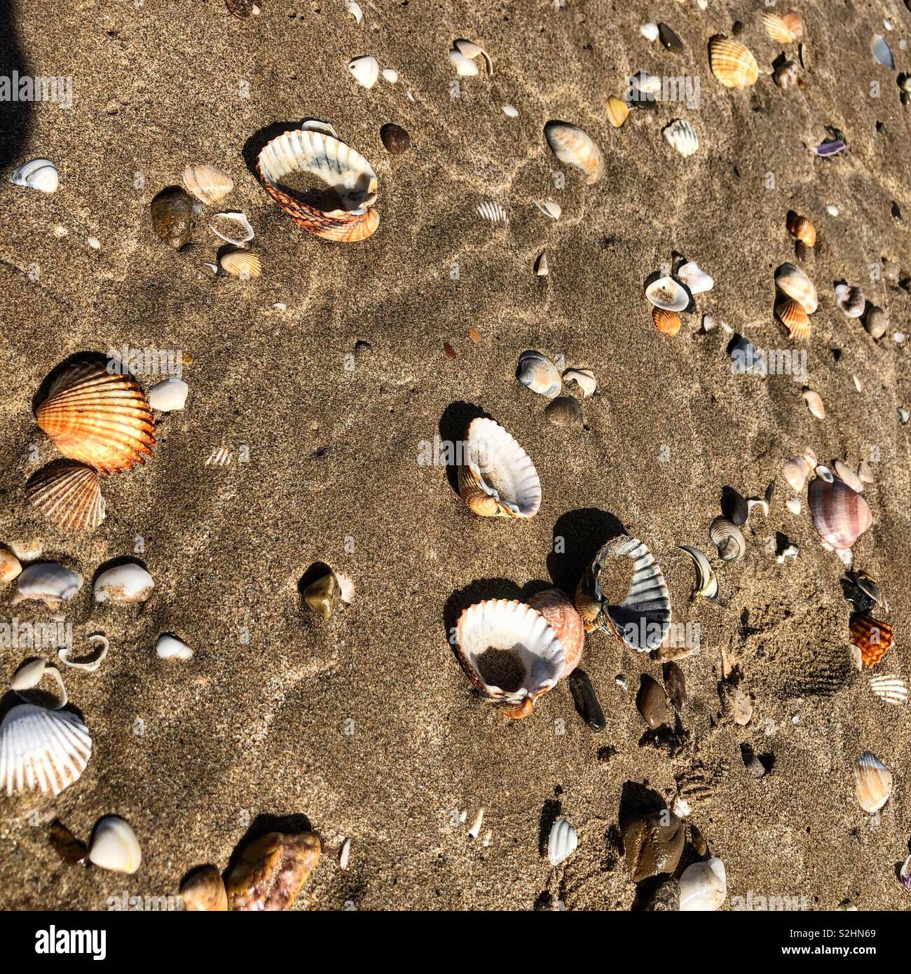 Beach square hi-res stock photography and images - Alamy