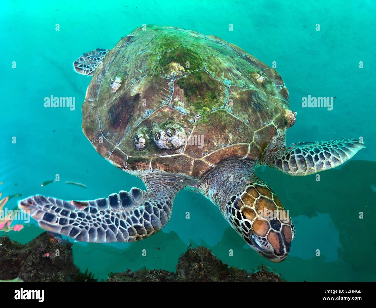 Sea Of Oman High Resolution Stock Photography and Images - Alamy