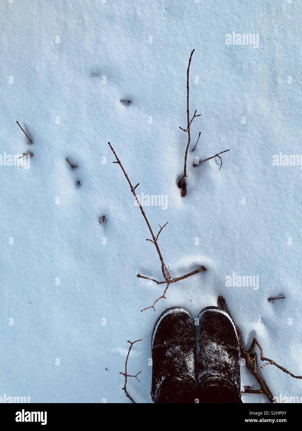 Looking down at boots hi-res stock photography and images - Alamy
