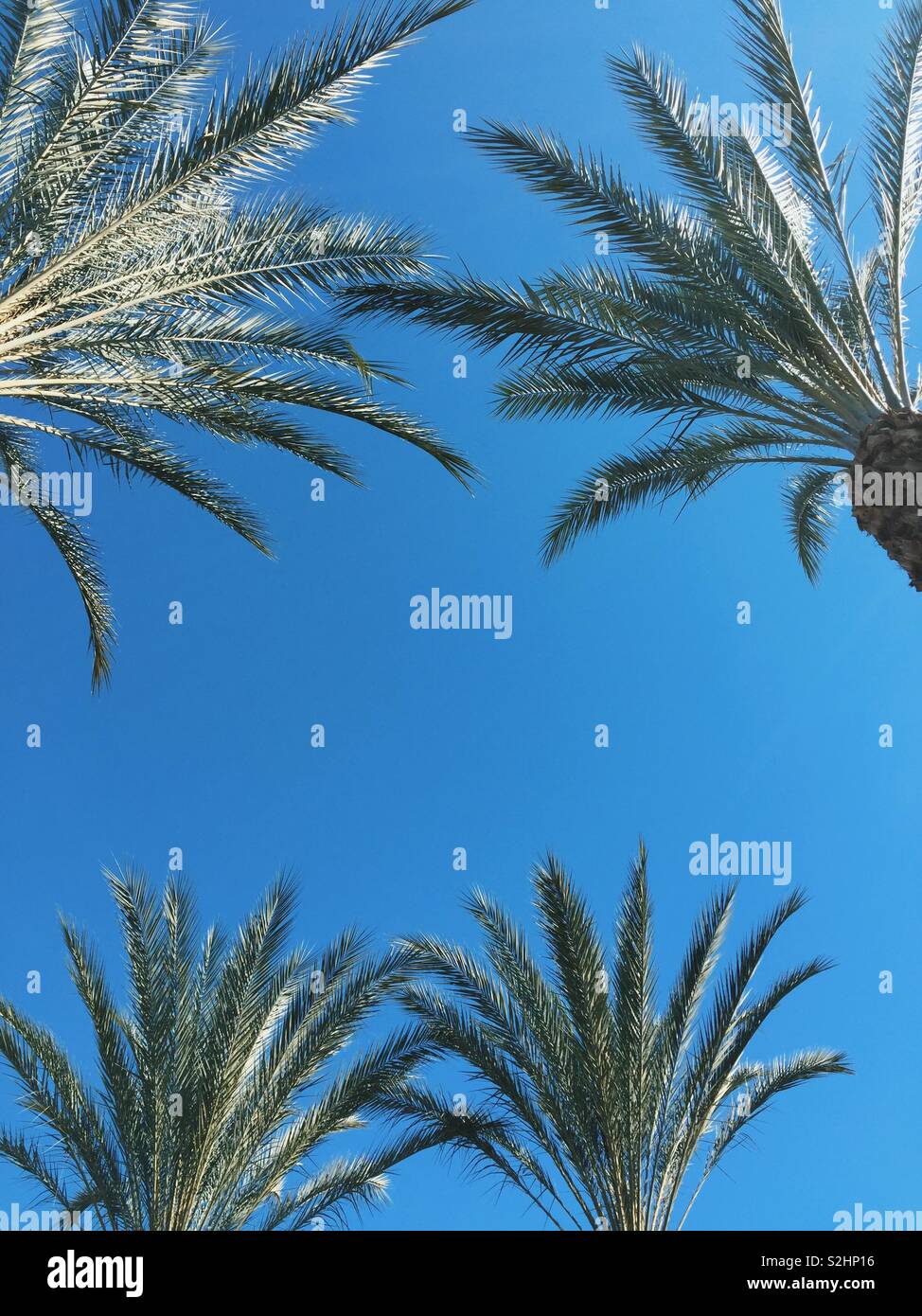 Palms up hi-res stock photography and images - Alamy
