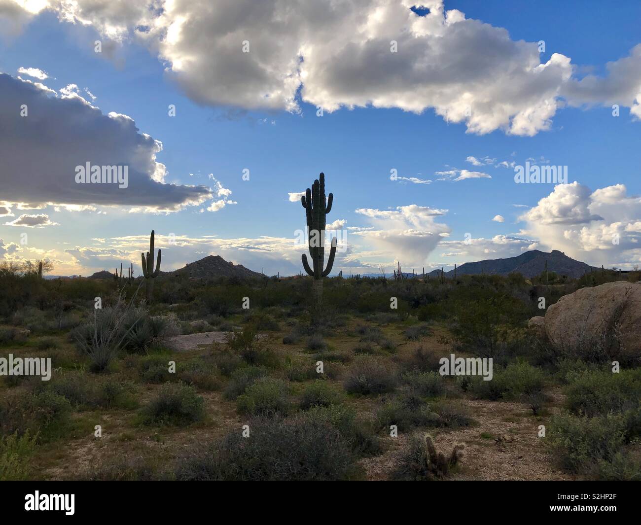 Serene shadows hi-res stock photography and images - Alamy