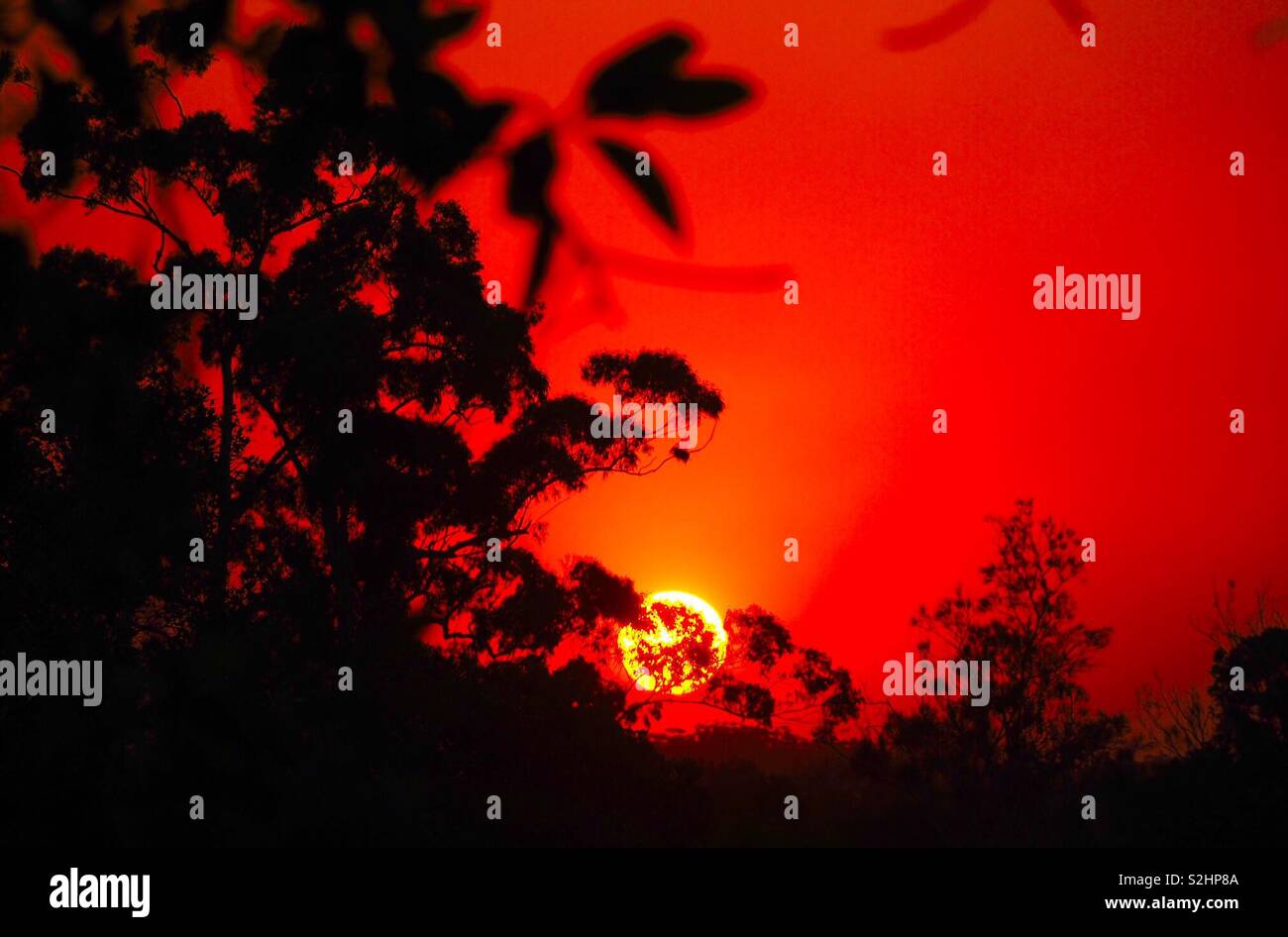 Red sun bushfire hi-res stock photography and images - Alamy