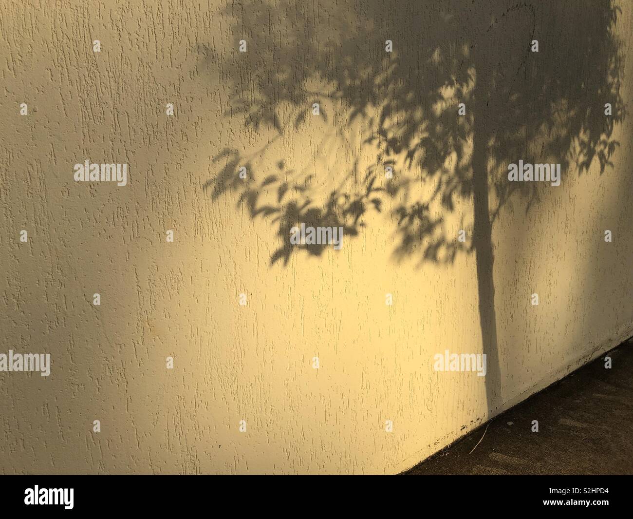 Shadow in the wall hi-res stock photography and images - Alamy