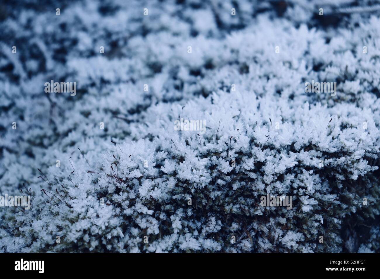 Closeup of ice hi-res stock photography and images - Alamy