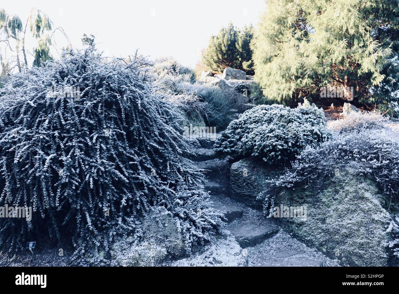 Frozen Steps High Resolution Stock Photography and Images - Alamy