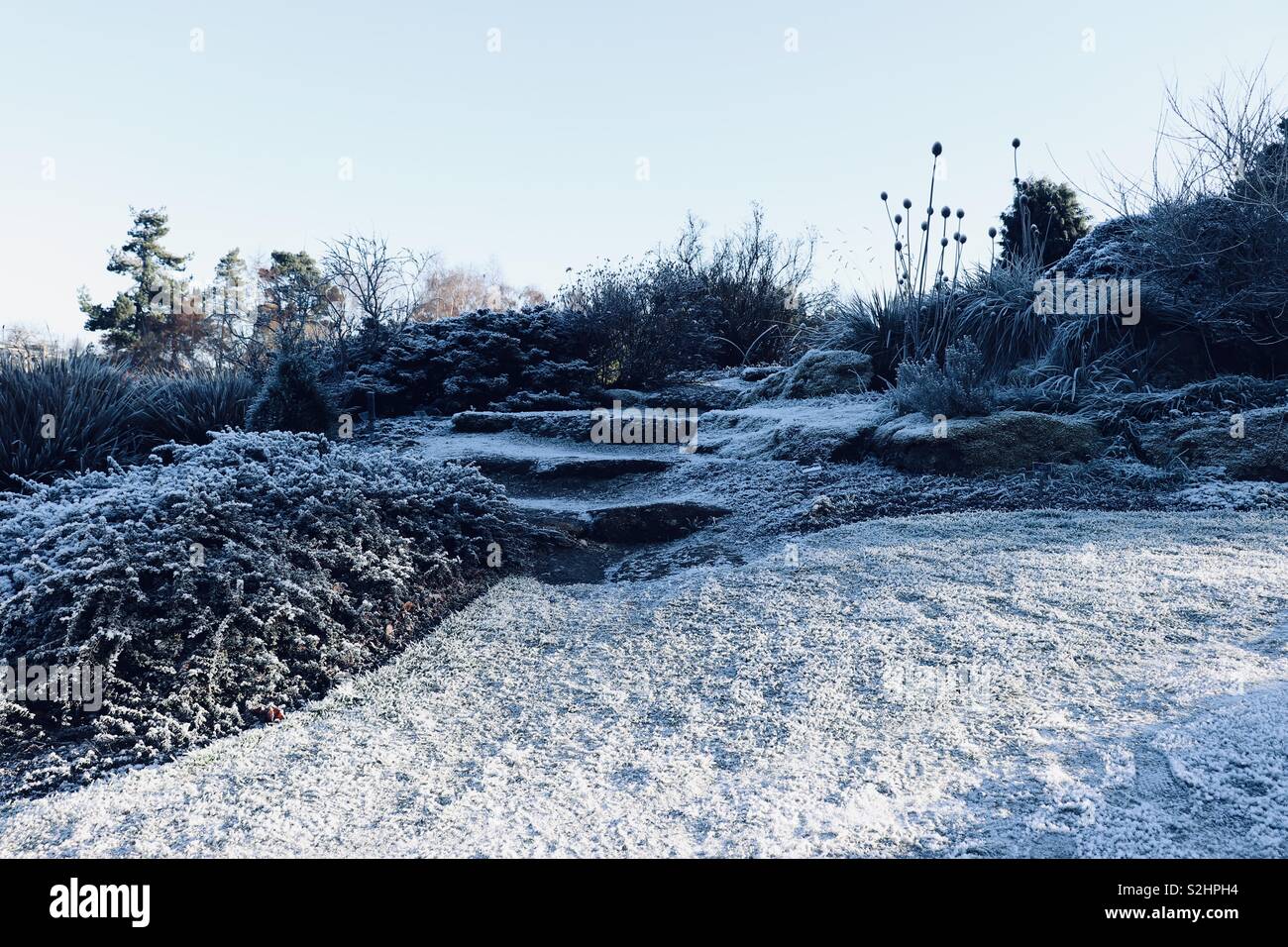 Winter scene of frozen garden Stock Photo - Alamy