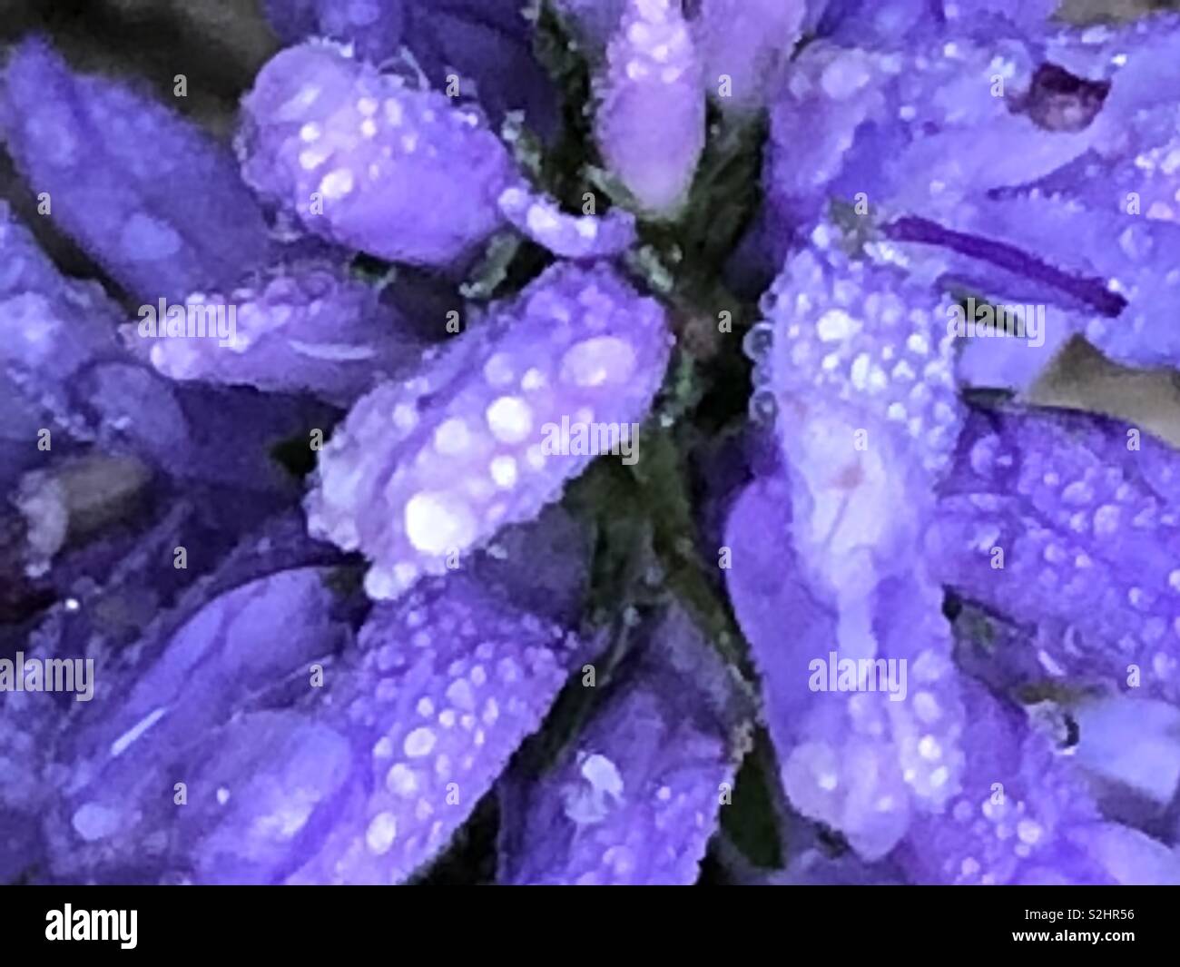 Indigo water hi-res stock photography and images - Alamy