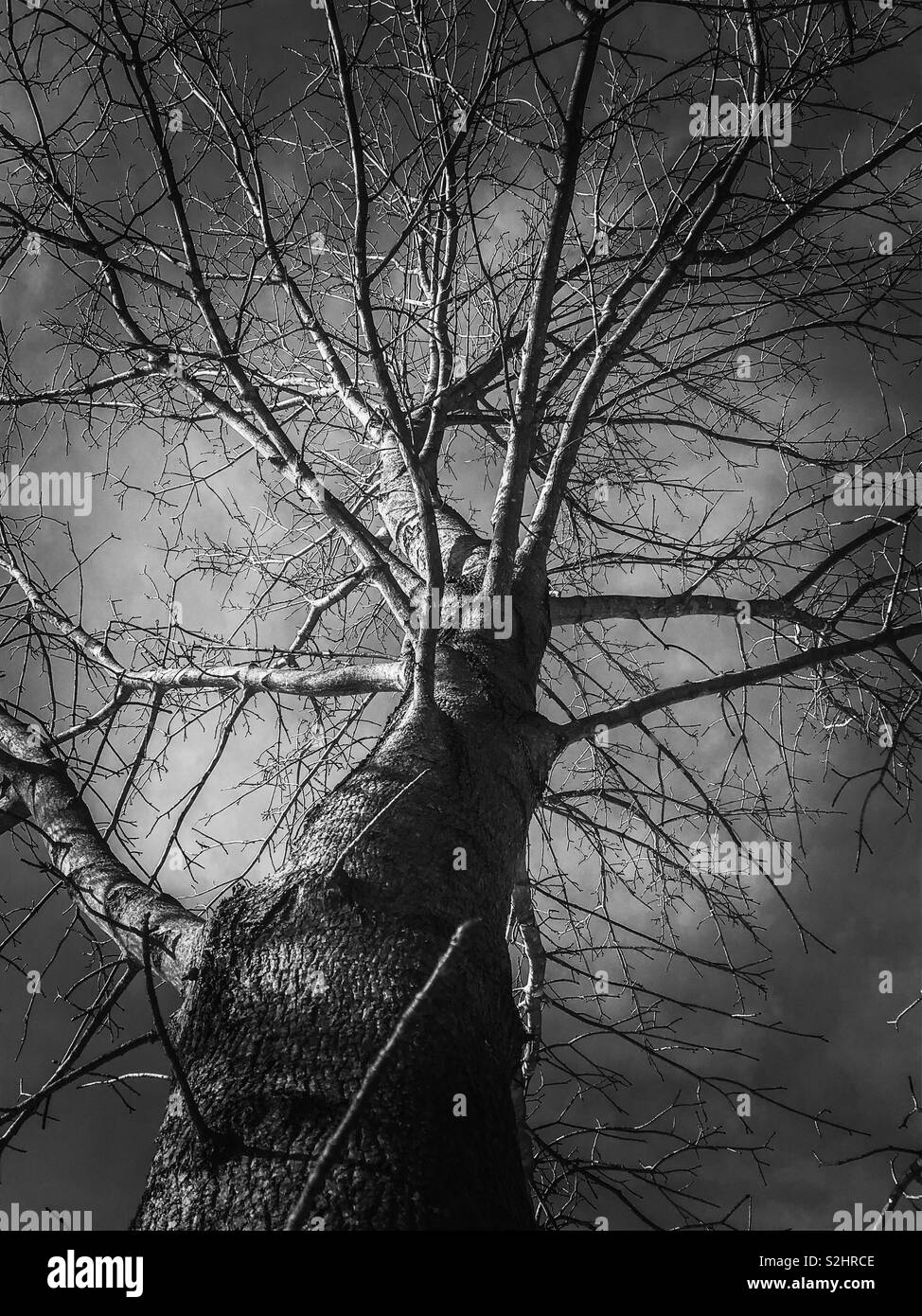 Dreary hi-res stock photography and images - Alamy