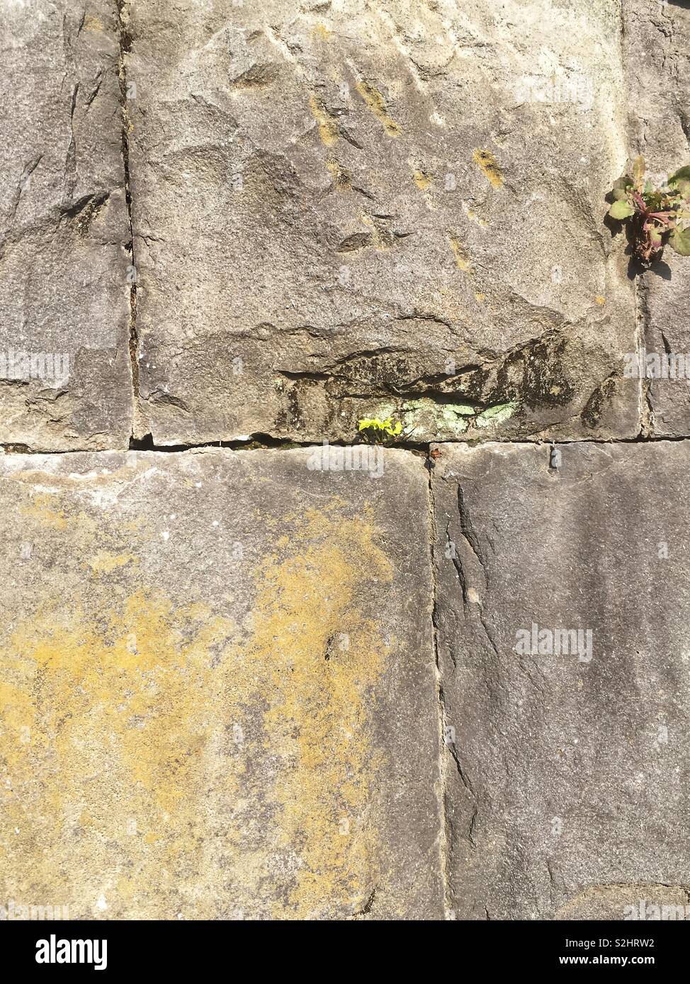 Stone wall structure Stock Photo - Alamy