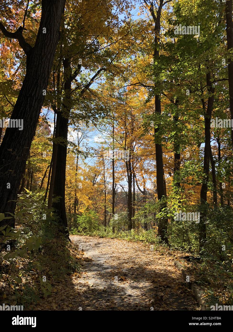 Fall light hi-res stock photography and images - Alamy