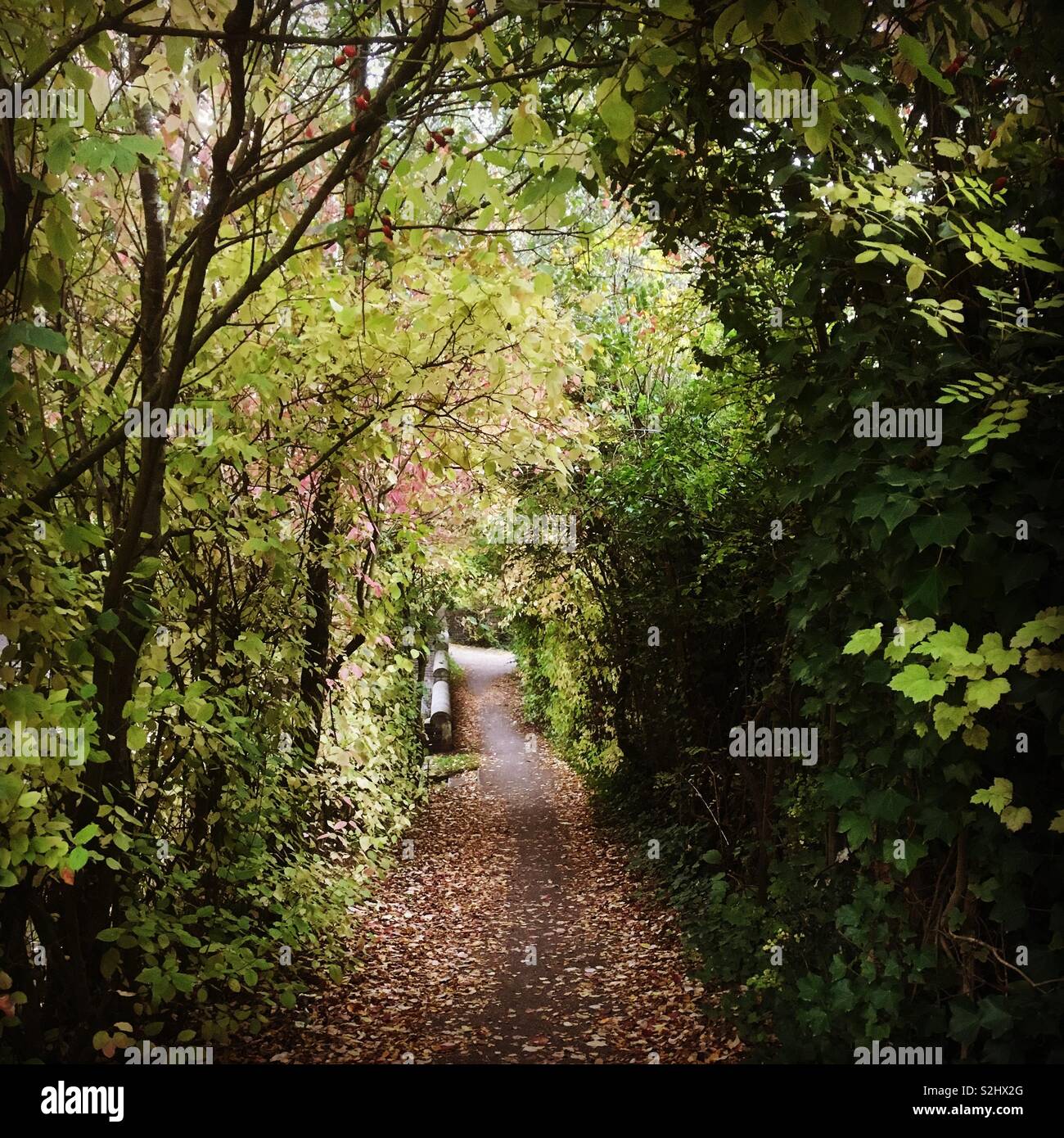 Stoke Road High Resolution Stock Photography and Images - Alamy