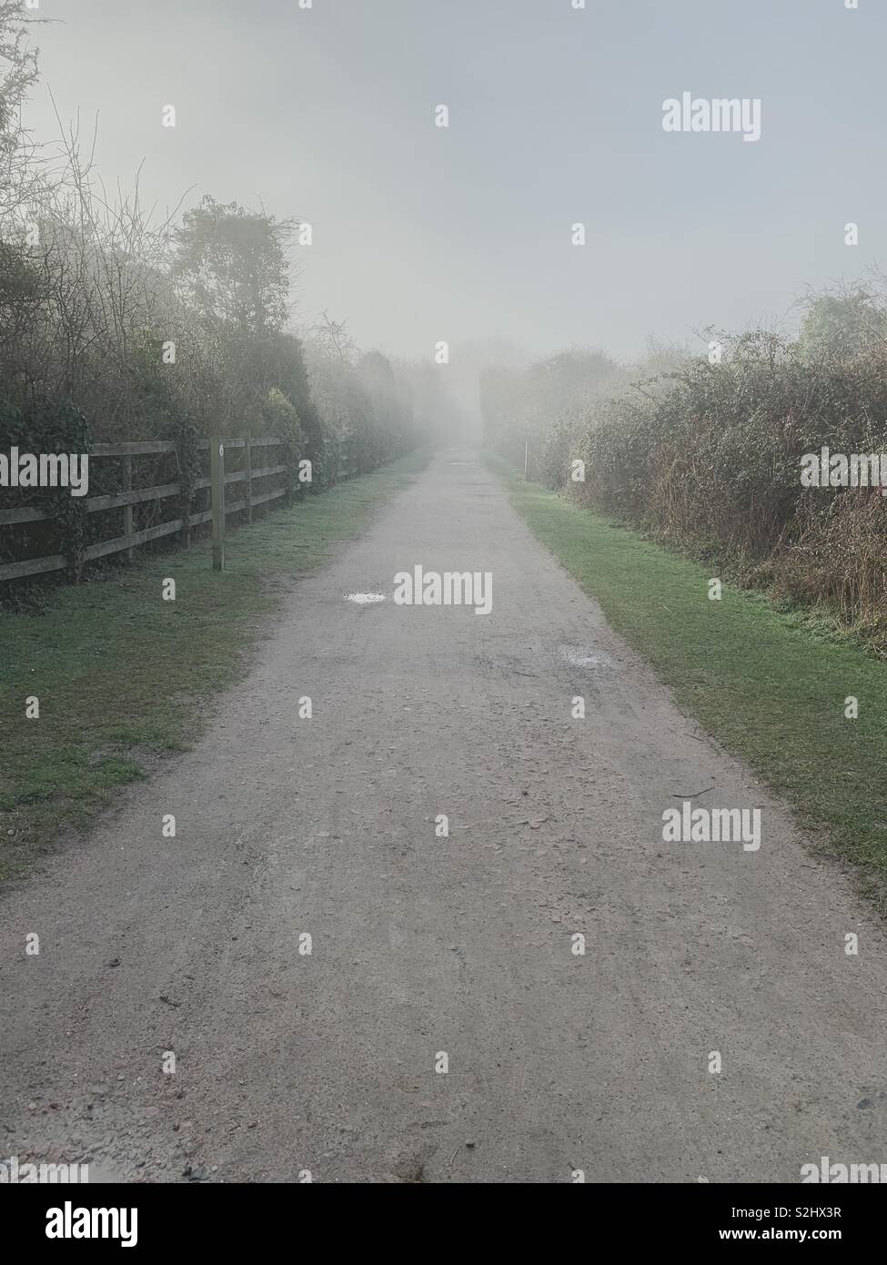 Grey gray foggy hi-res stock photography and images - Alamy