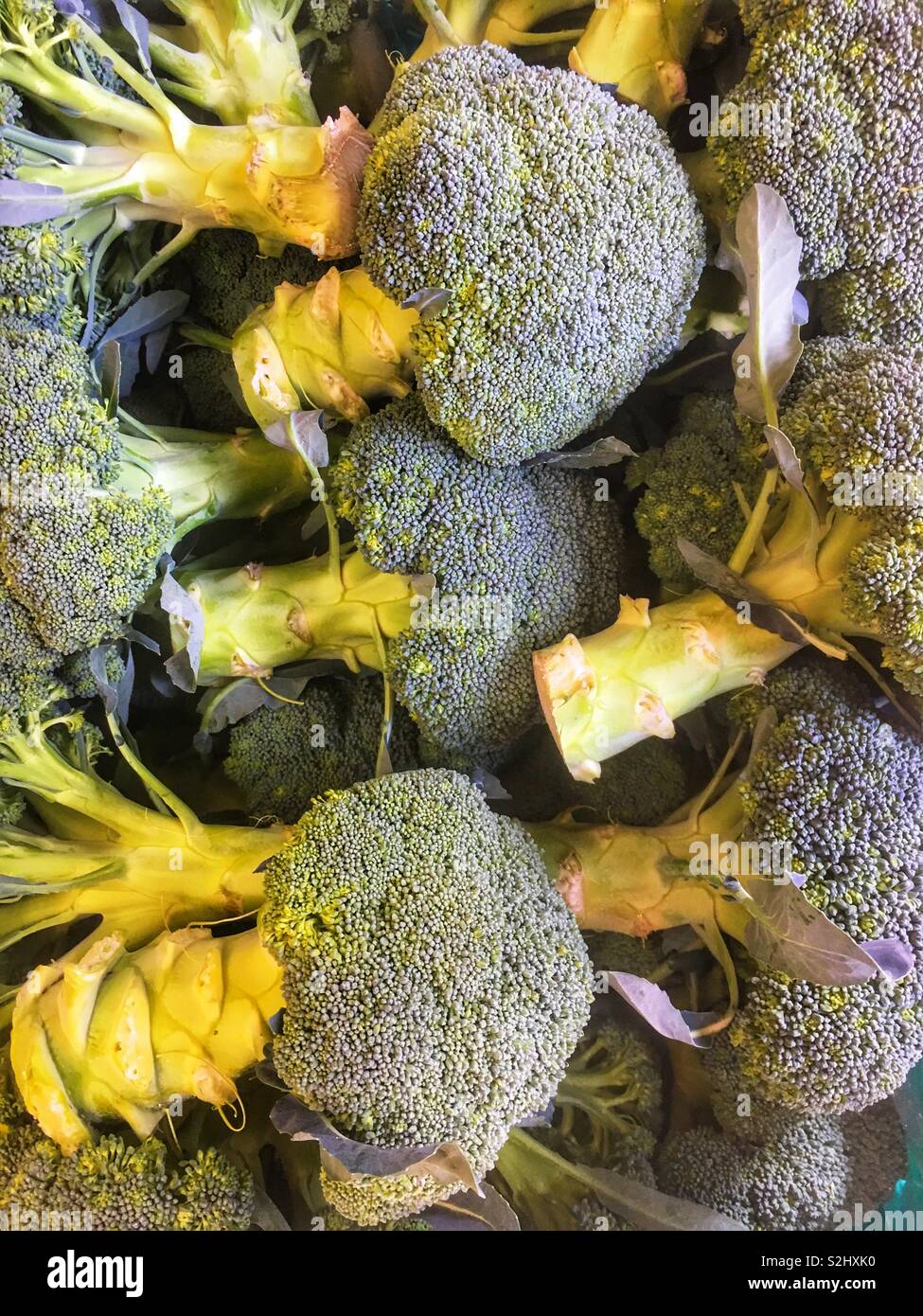 Broccoli on display Stock Photo - Alamy