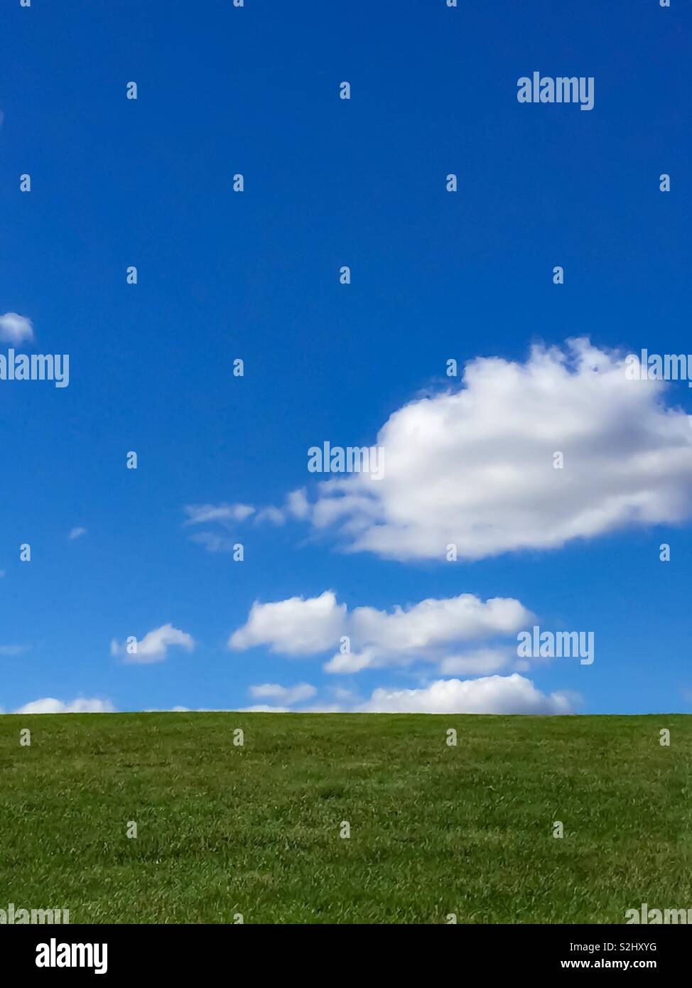 Green field blue sky vertical hi-res stock photography and images - Alamy