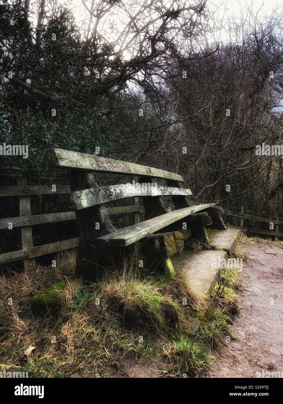 Old wooden and concrete bench, slowly falling into dis repair Stock ...