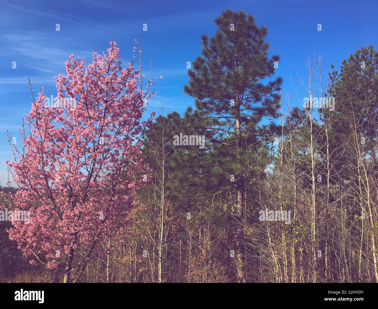 Columbia south carolina hi-res stock photography and images - Alamy