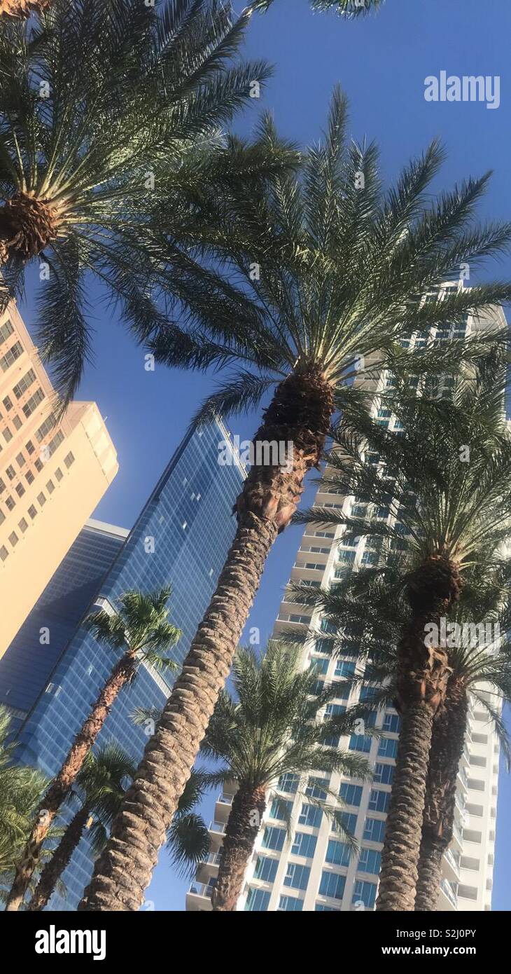 Las Vegas skyscrapers Stock Photo - Alamy