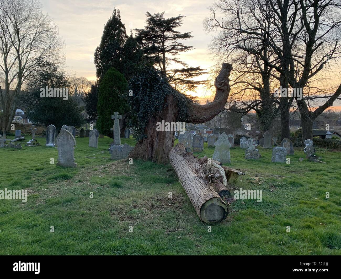 Elephant Graveyard High Resolution Stock Photography and Images - Alamy