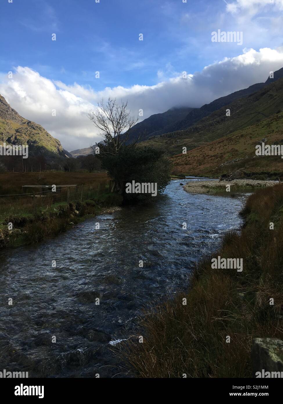 Hint of spring hi-res stock photography and images - Alamy