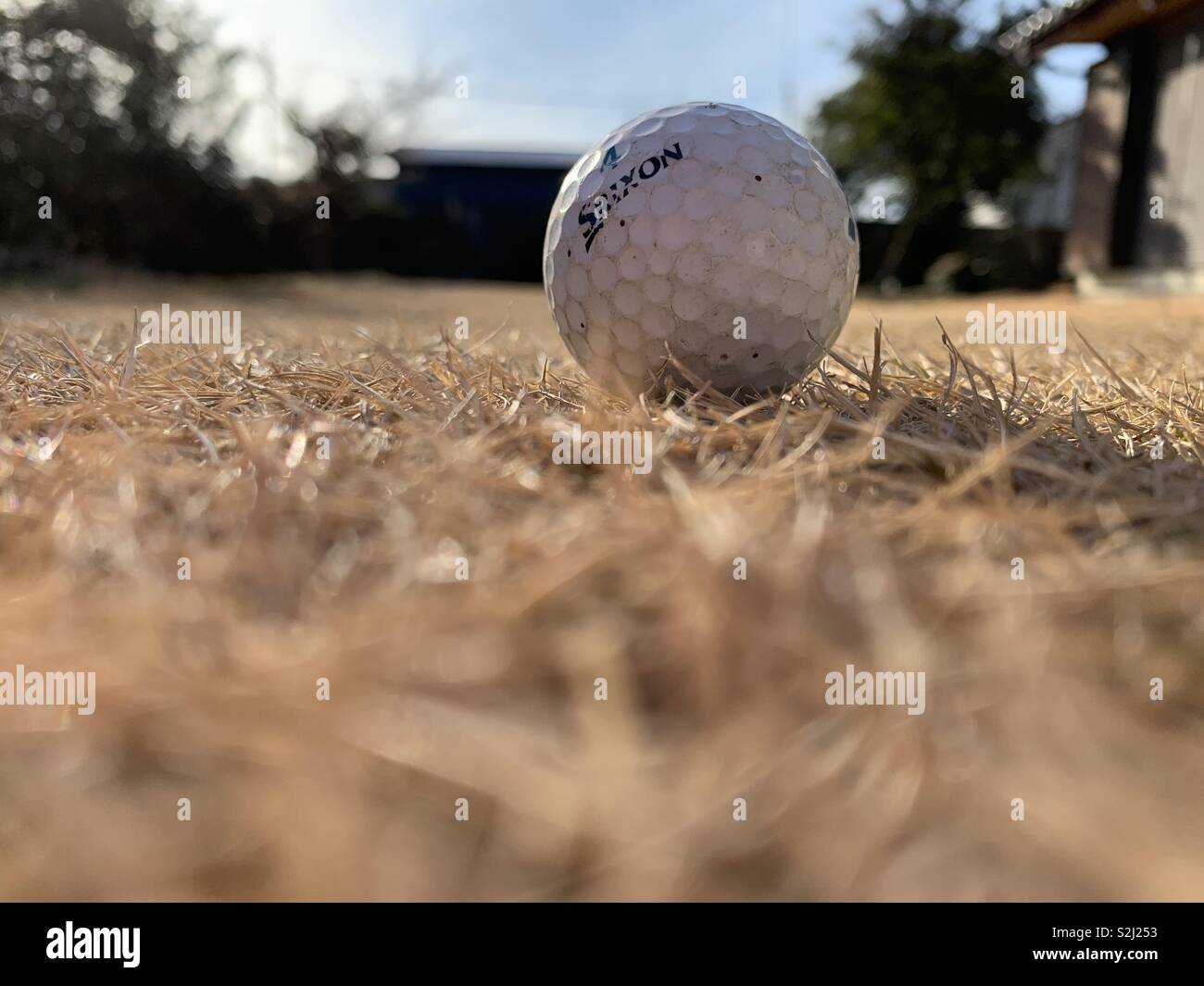 Bermuda grass hi-res stock photography and images - Alamy