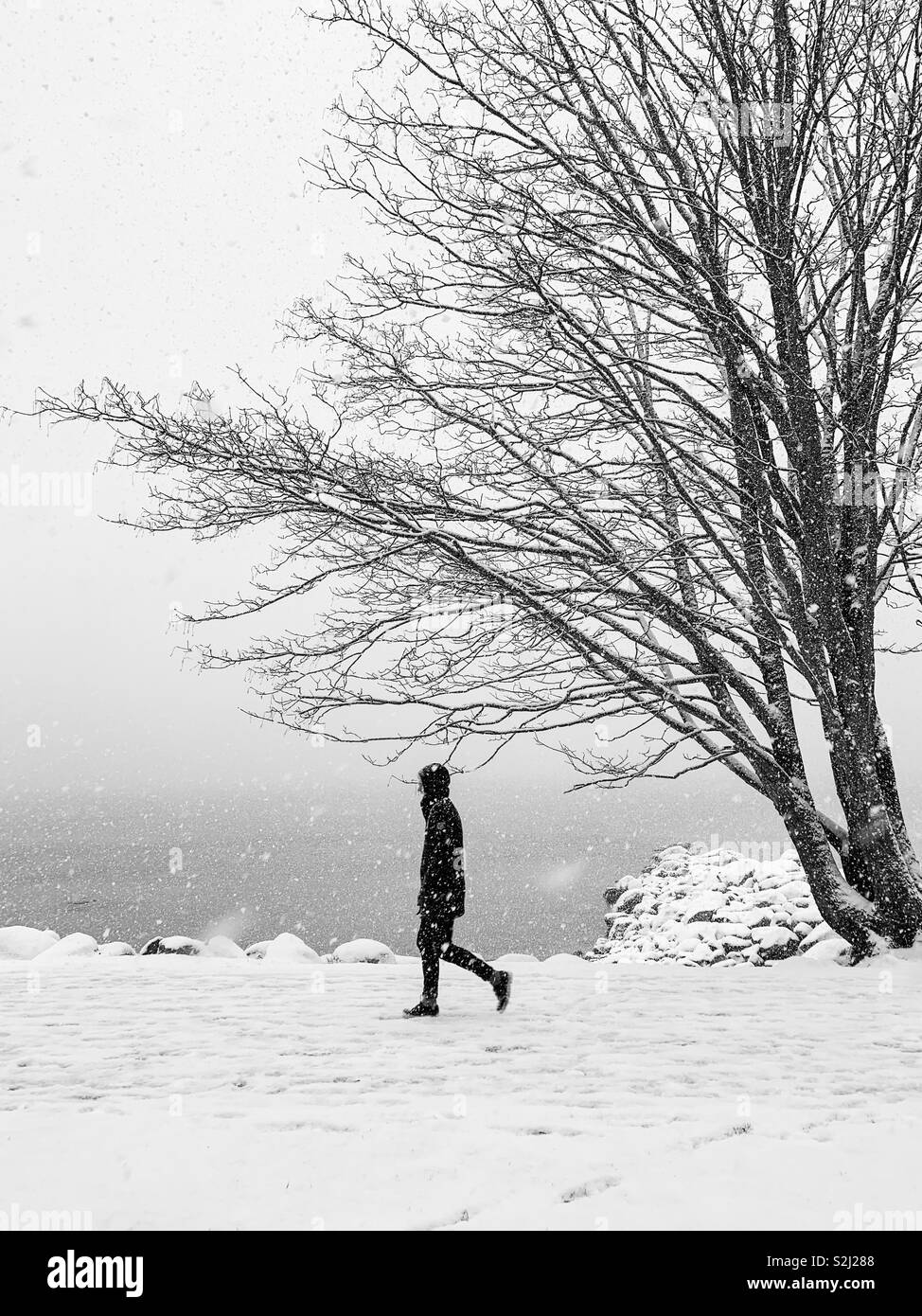 Snowing Black and White Stock Photos & Images - Alamy