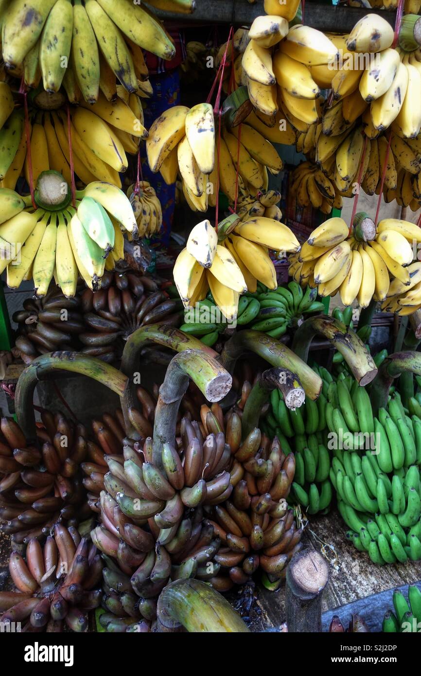 Food varieties of bananas hi-res stock photography and images - Alamy