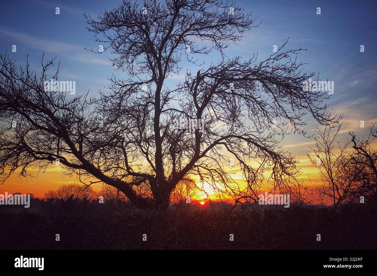 Mild sunset hi-res stock photography and images - Alamy