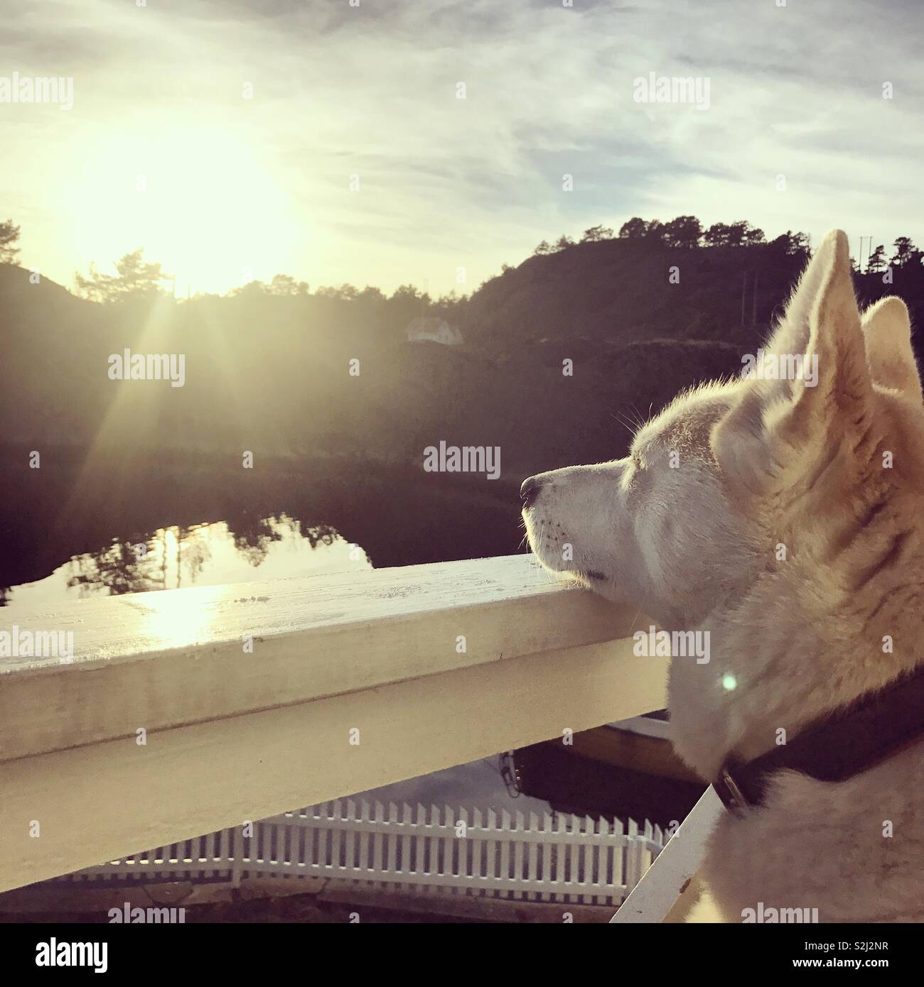 Sun worshipper hi-res stock photography and images - Alamy