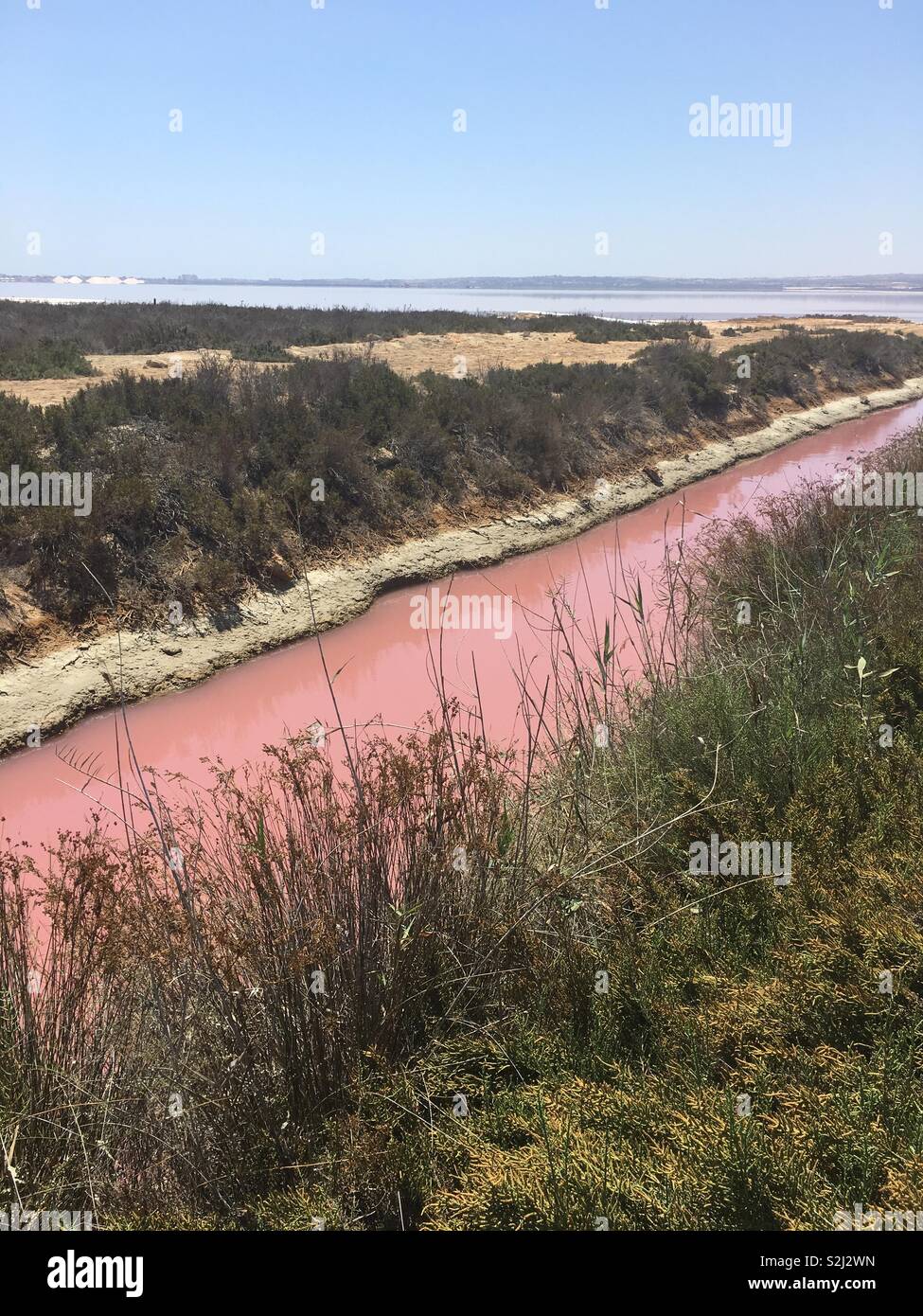 Bright pink river Stock Photo - Alamy