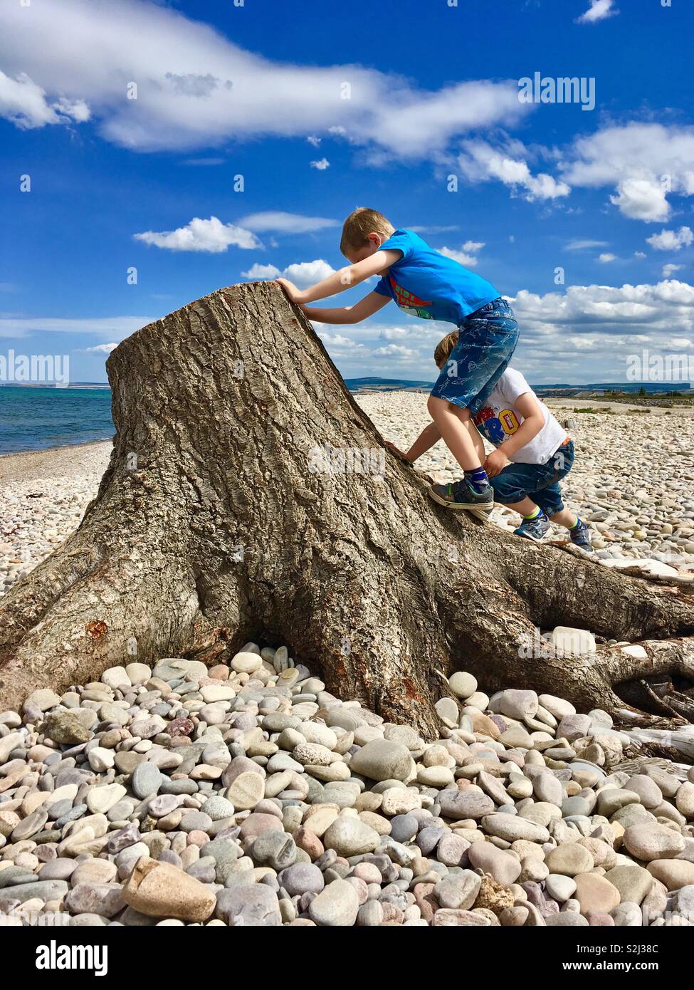 Boys climbing tree hi-res stock photography and images - Alamy