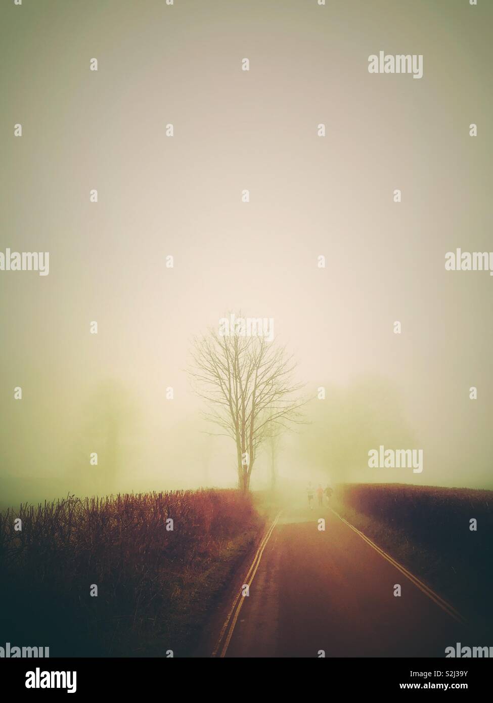 Runners lane hi-res stock photography and images - Alamy