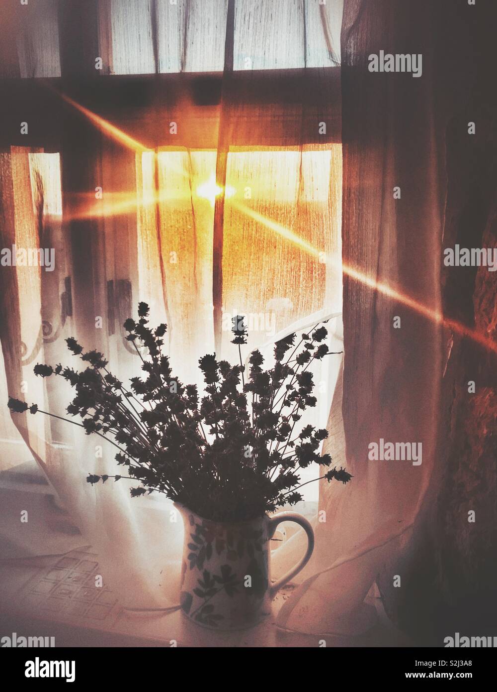 Early morning sunlight bursting in through a window Stock Photo - Alamy