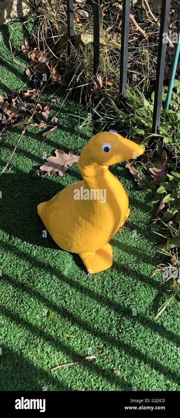 Lucky duck hi-res stock photography and images - Alamy